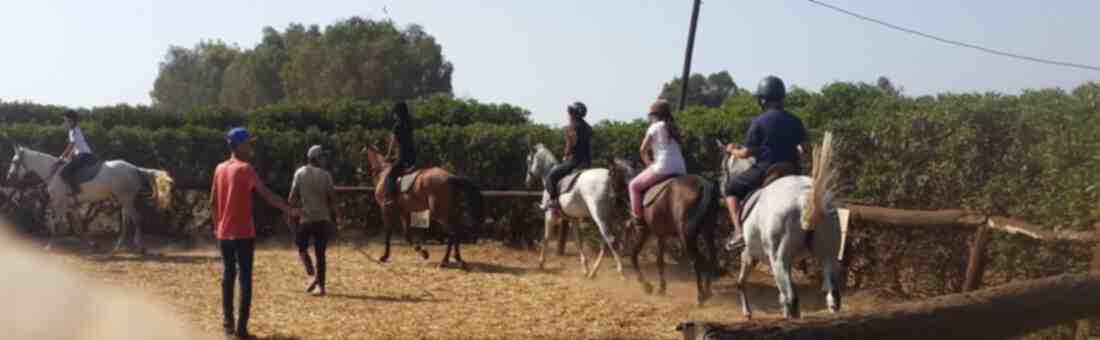 Club Le Barry à Dar Bouazza | Club équestre - Clubs.ma